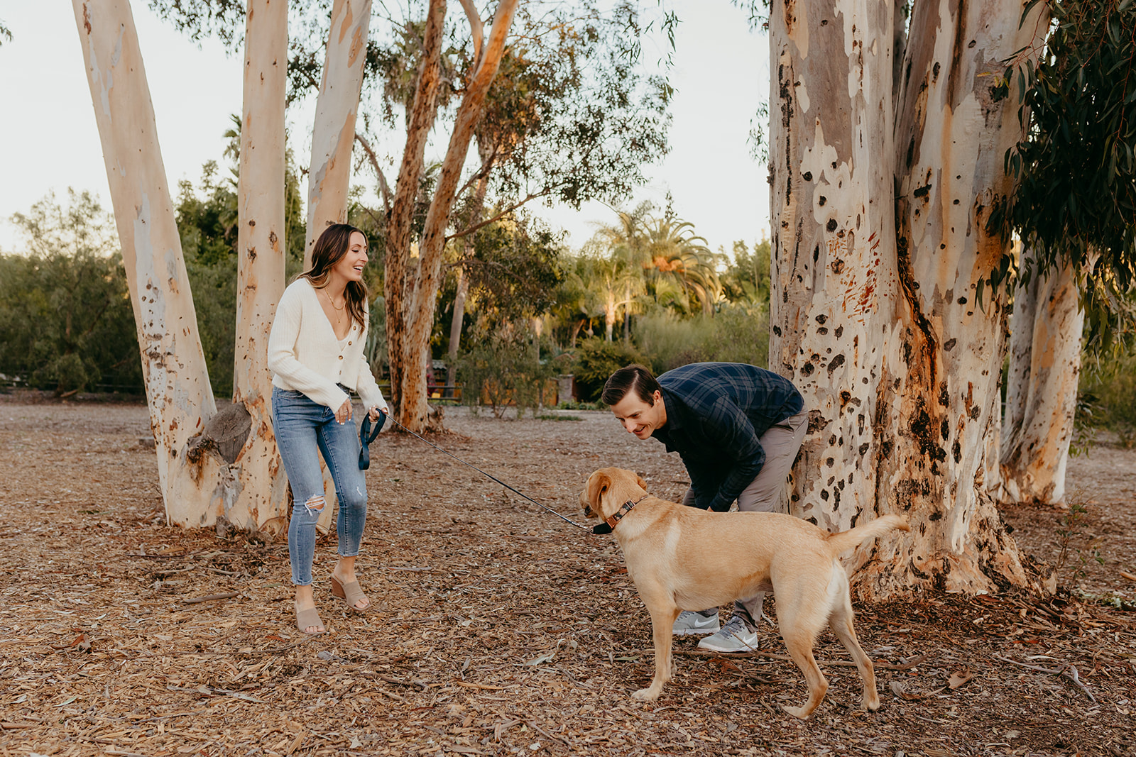 Hitched & Leashed – The best wedding dog handler in Southern California.